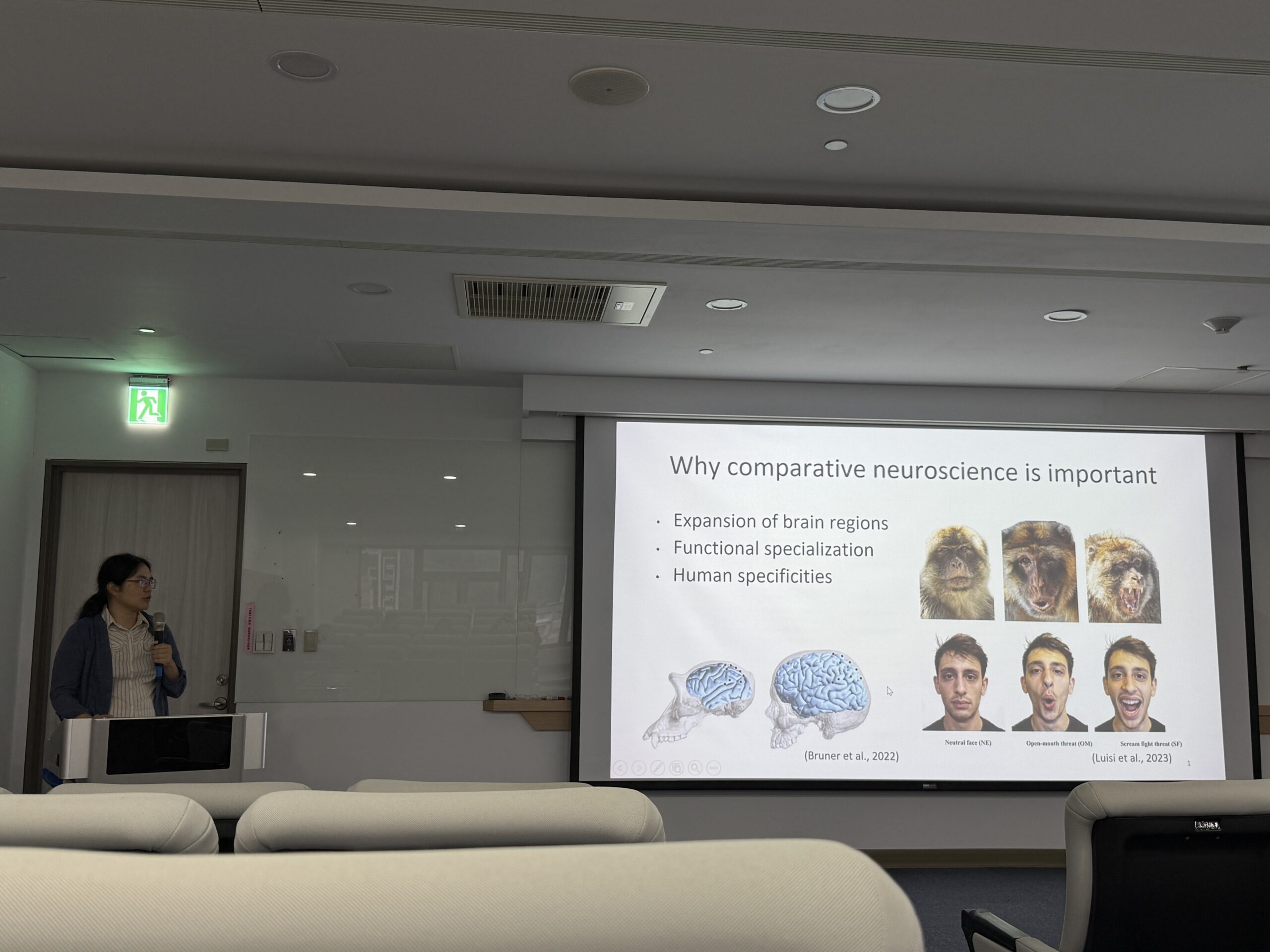 Talk: Probing function and evolution of the parietal cortex with ...